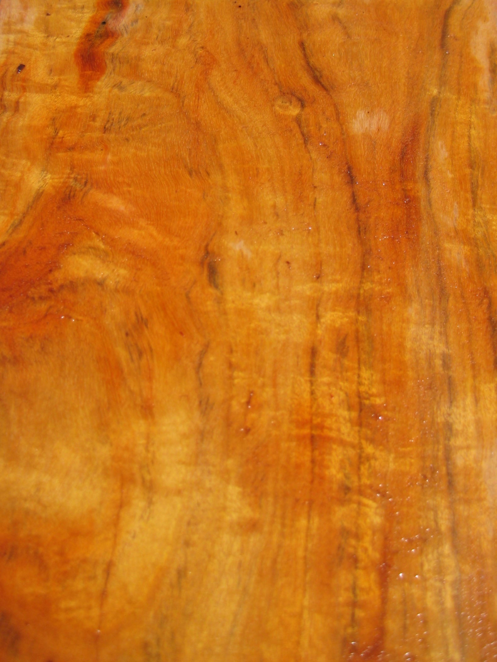 Chakteviga – Xoxot Proyecto Maderable