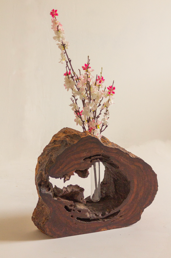 Flora – Xoxot Proyecto Maderable