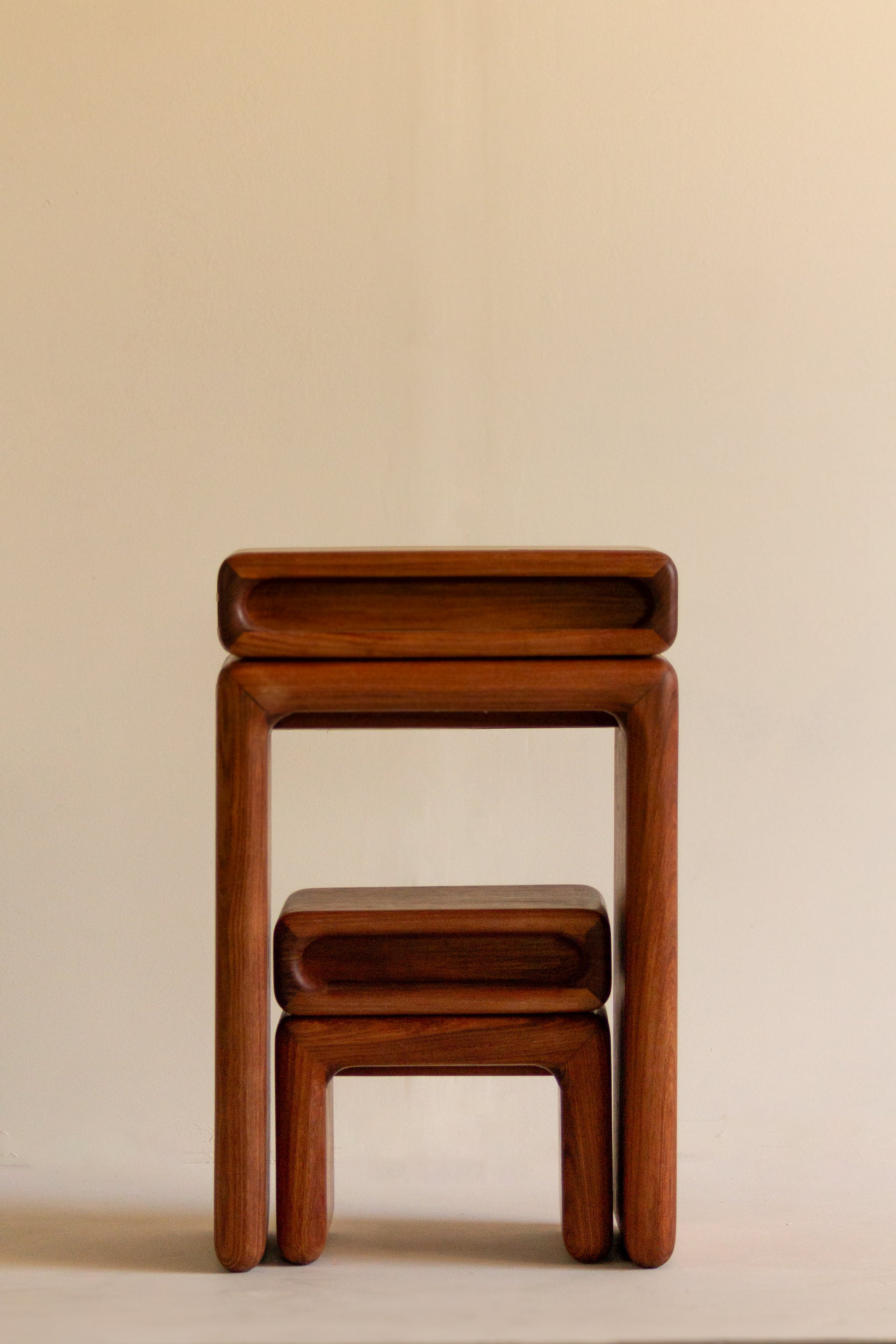 Xorro / Tzalam – Xoxot Proyecto Maderable